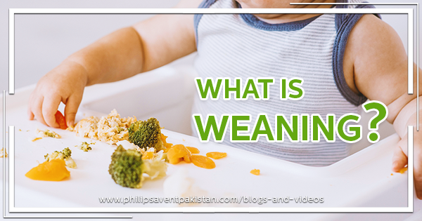 Motherhood & Childcare - Philips AVENT Pakistan - What Is Weaning ...